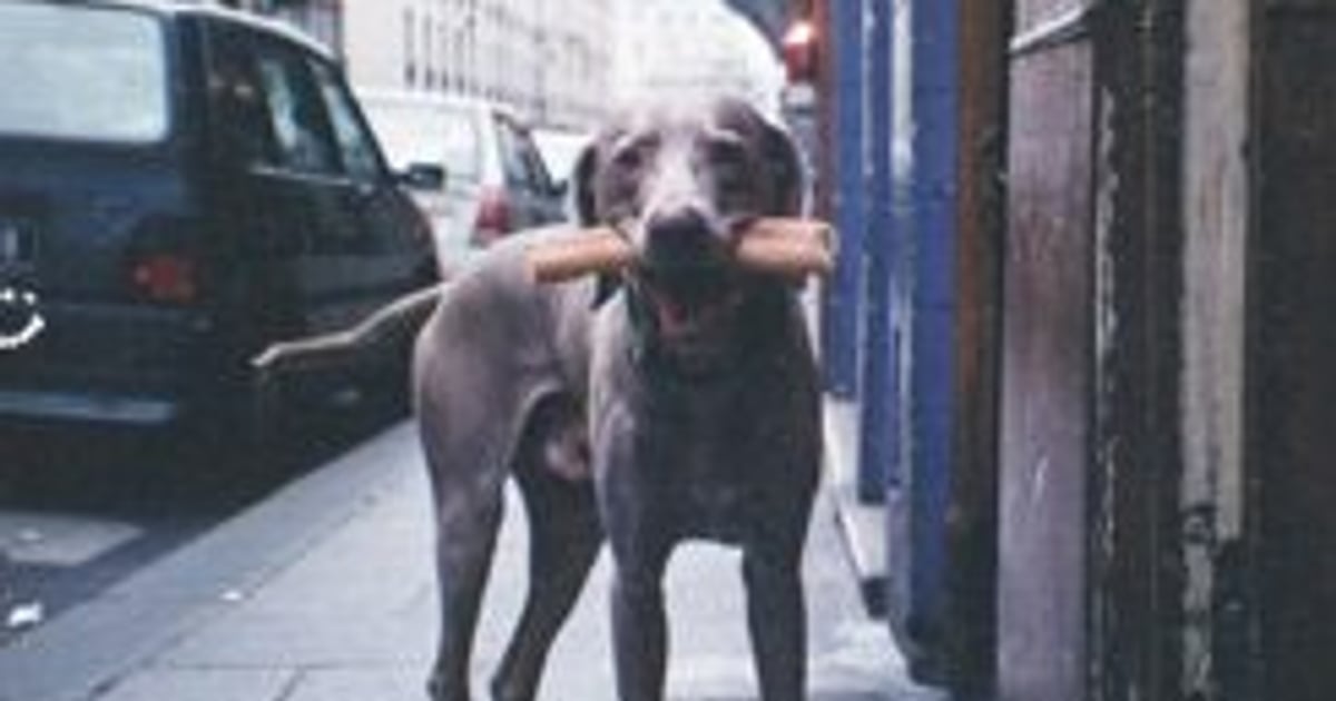 Bread is the thread - Toronto Life