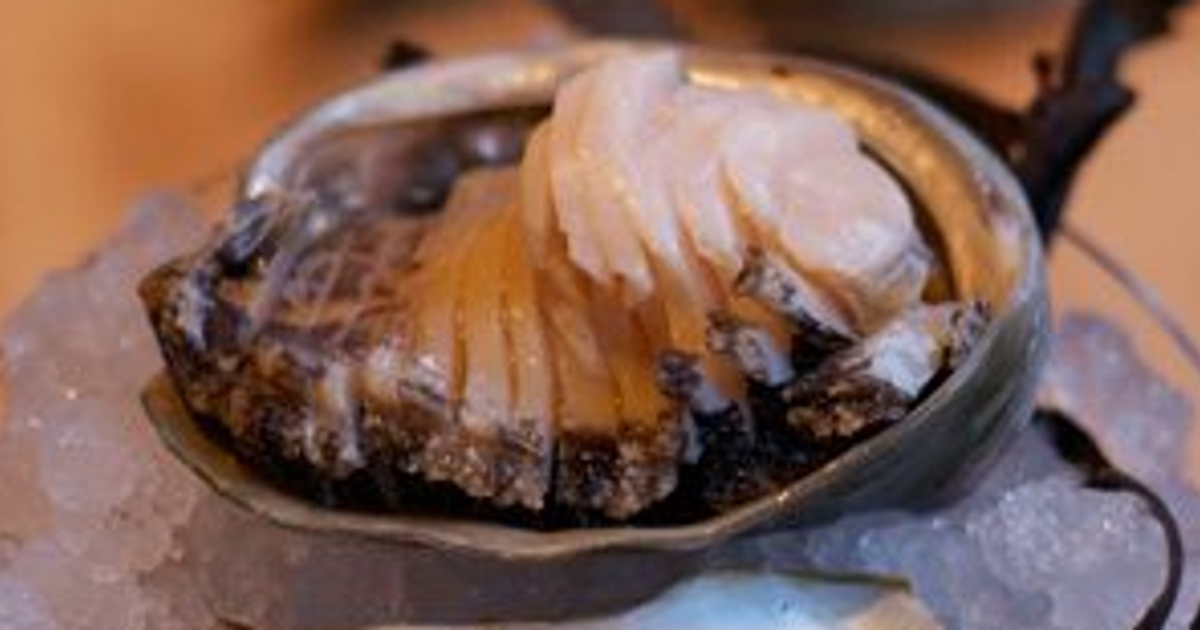 Starfish restaurant is serving rare species of abalone - Toronto Life