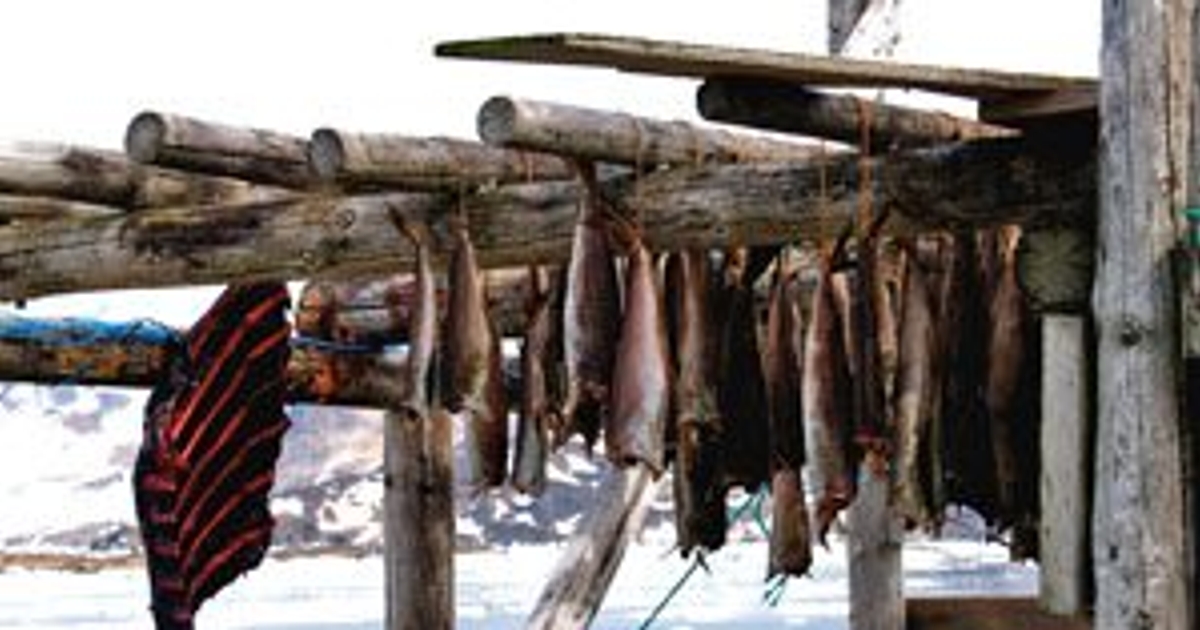 G7 ministers will be exposed to seal pelts and meat when they come to ...