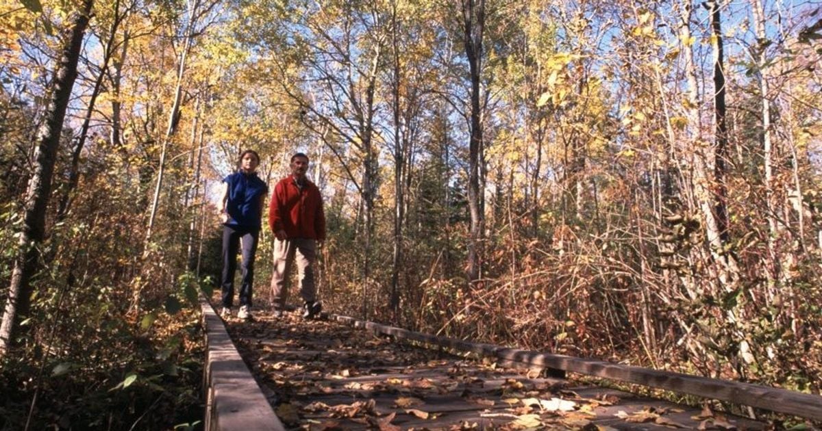 MacGregor Point Provincial Park - Toronto Life