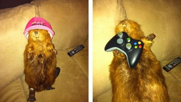 Jamieson Kerr - Toronto Life