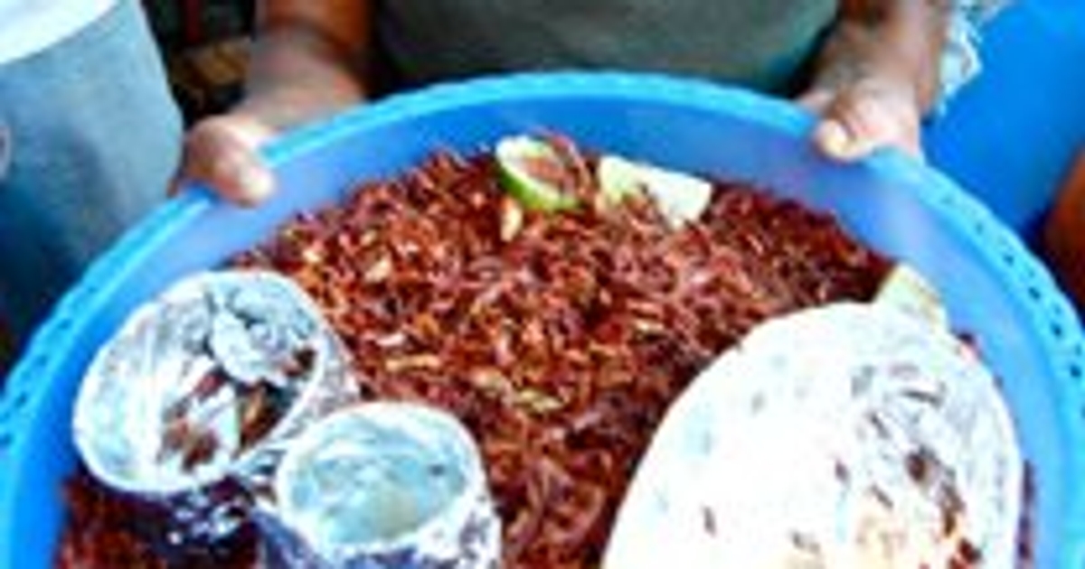 Entomophagy 101: Five tips for eating insects - Toronto Life