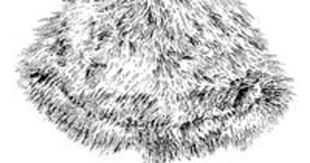 Good Stuff Cheap: hit the fashion zeitgeist with this fuzzy, furry trio ...