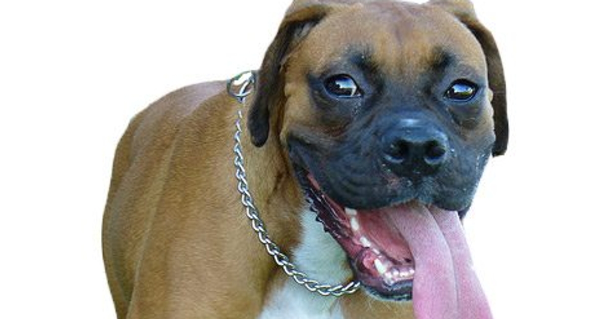 Toronto Hydro’s friendly reminder with your latest bill: how not to get ...