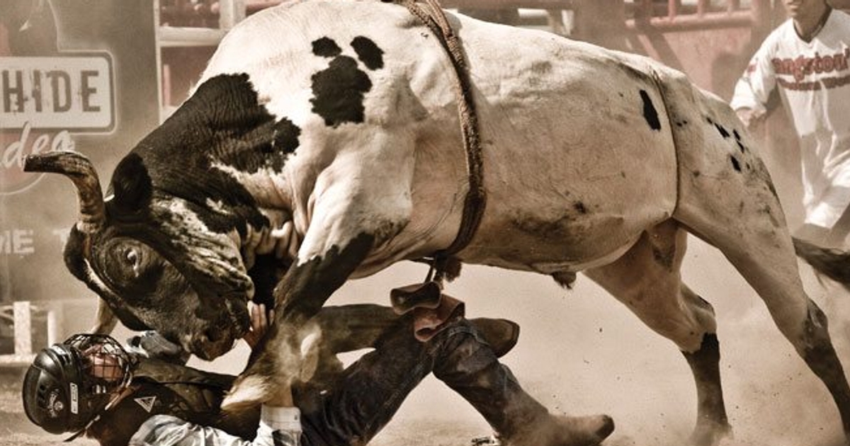 Bull’s Eye: Peter Sibbald captures the gritty subculture of southern ...