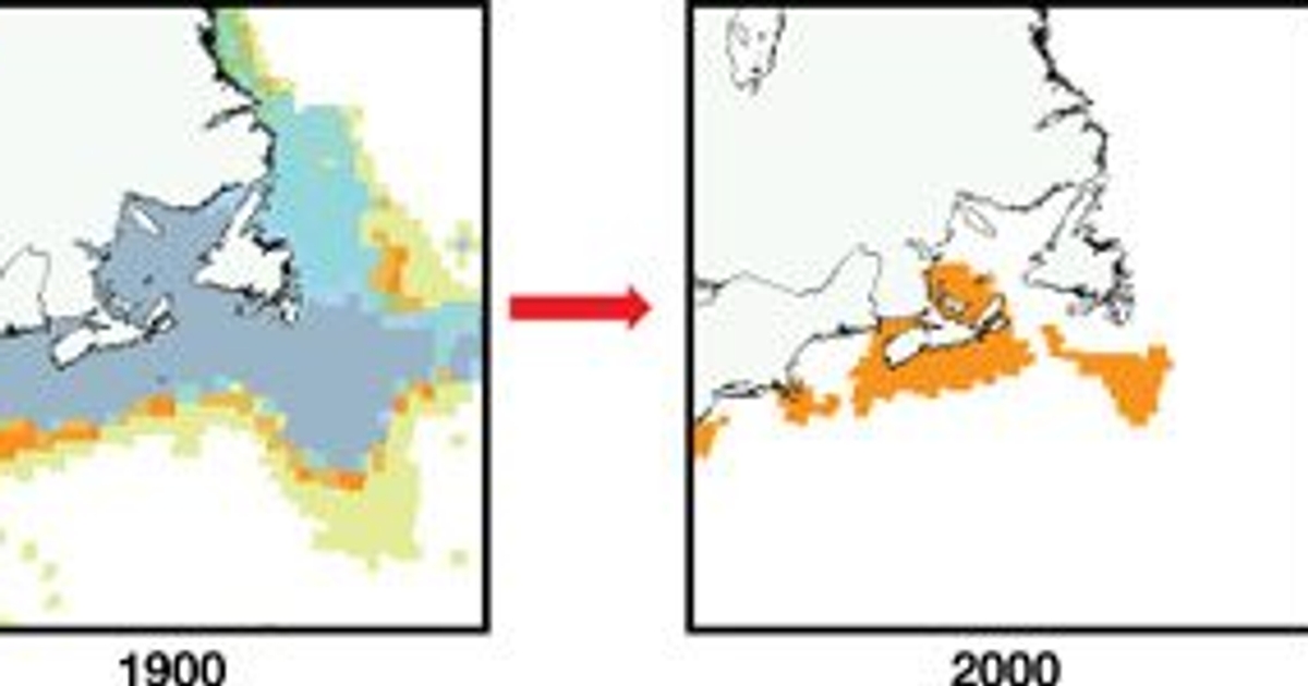 Want to feel even worse about the depletion of fish stocks? Check out ...