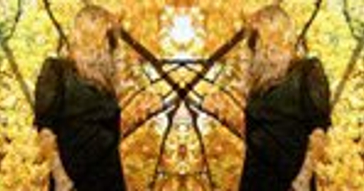 New York magazine names Austra’s Feel It Break the No. 1 album of the ...