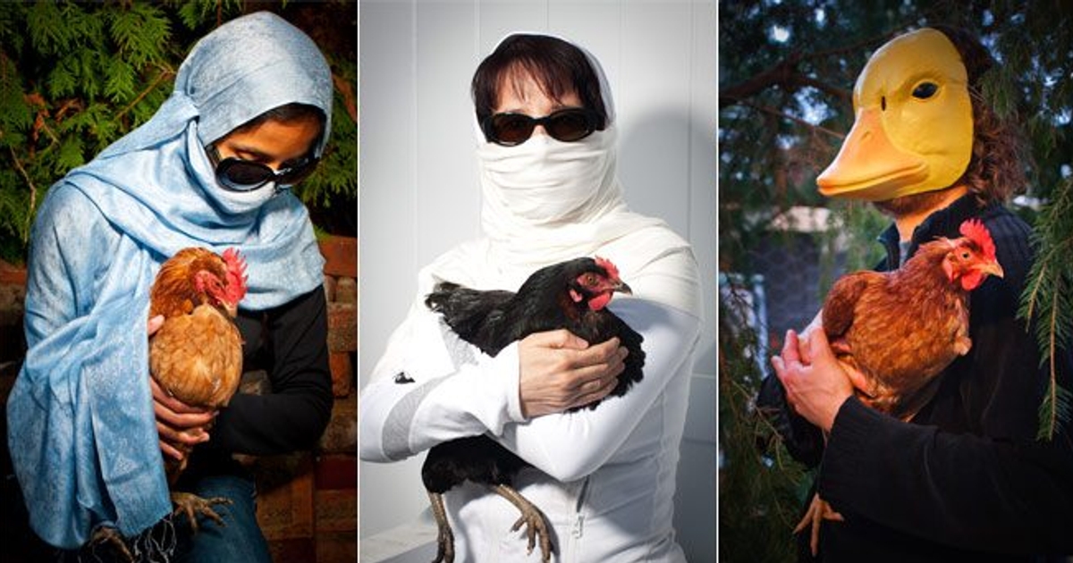 Nine members of Toronto’s backyard-chicken underground on the special ...