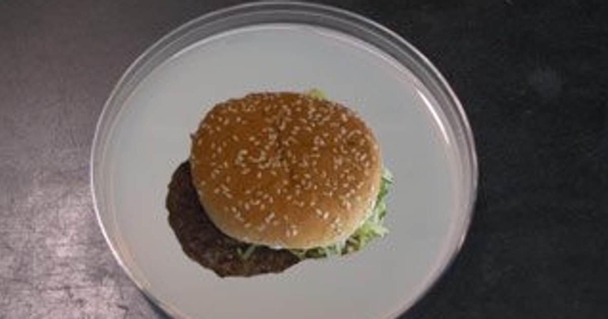 The world’s first lab-grown burger could be ready by October - Toronto Life