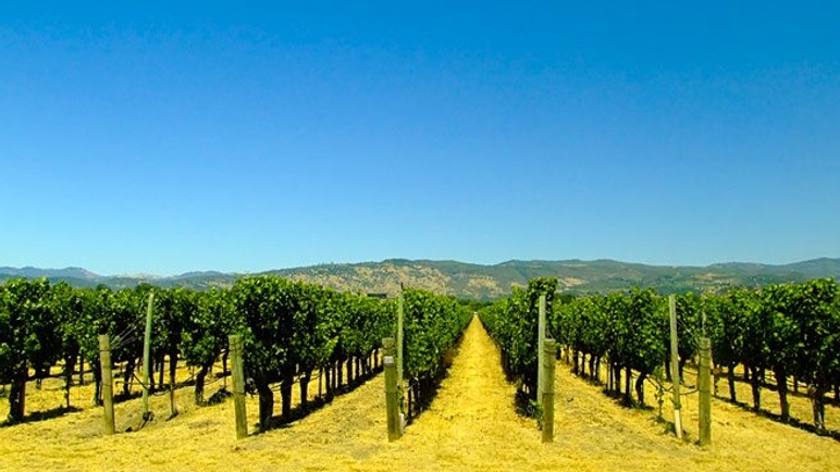 Matthew Sullivan - Toronto Life