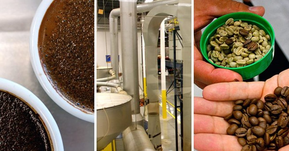Ever wonder why Tim Hortons coffee tastes like that? A behind-the ...
