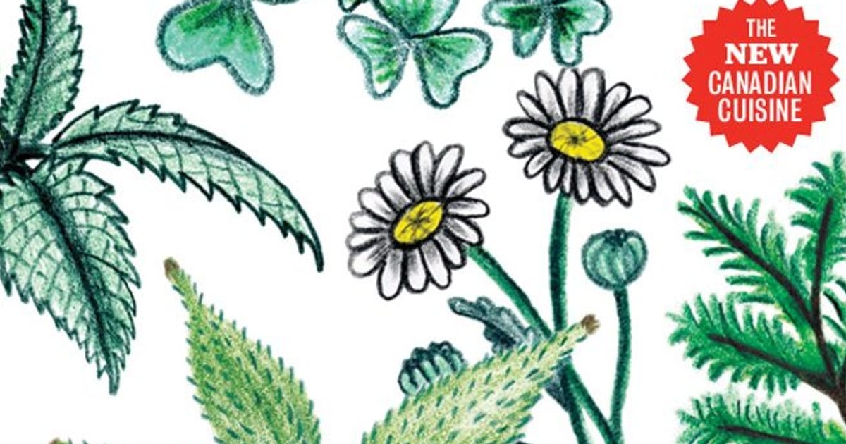 Field Guide: a handy glossary for identifying the foraged weeds and ...