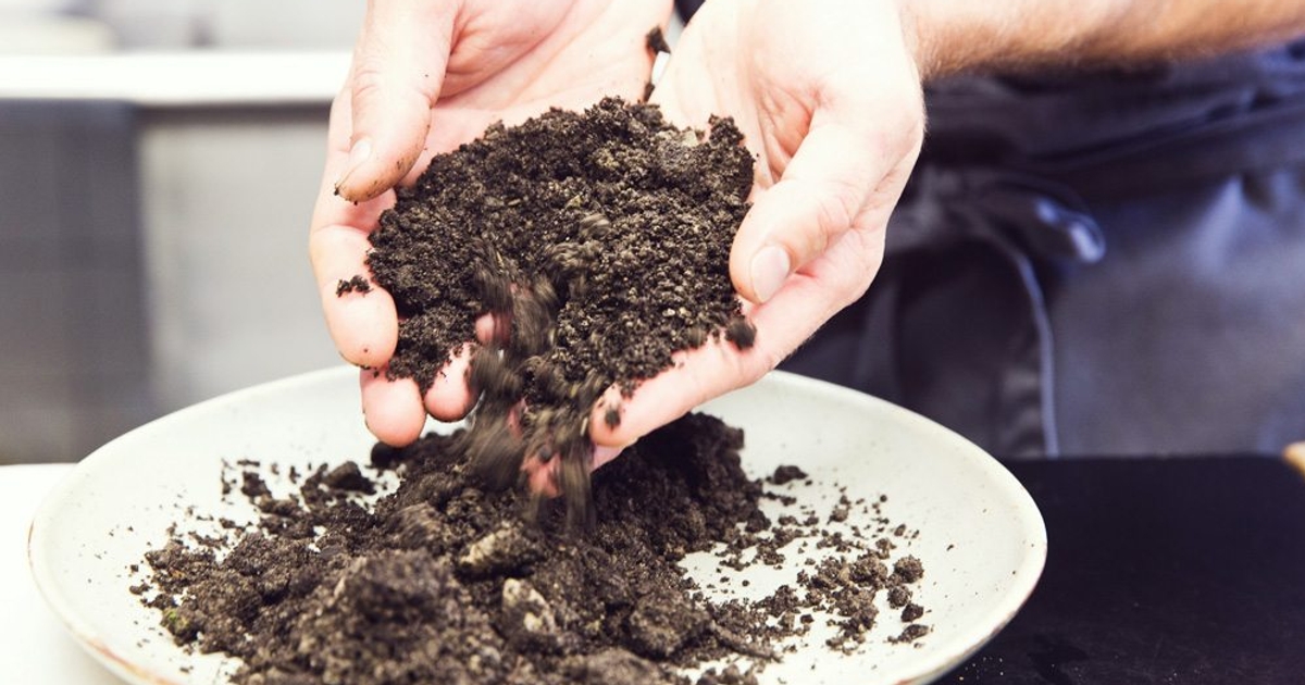 How do you make a fancy dish from dirt? - Toronto Life