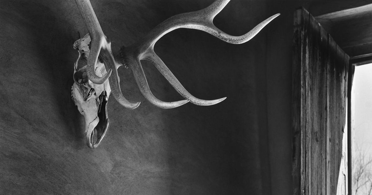 About Face's weird, wistful portraits are a rebuttal to the selfie ...