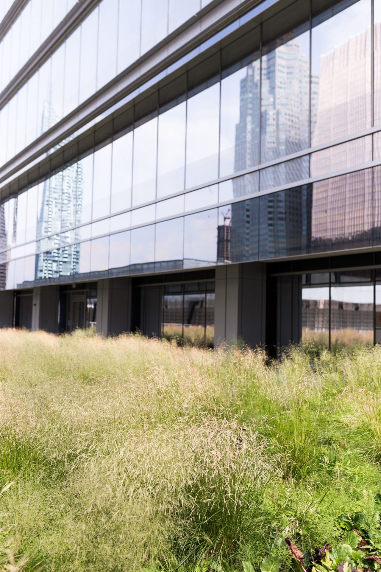 Inside Telus's enormous, 21-floor office, with three whole storeys ...