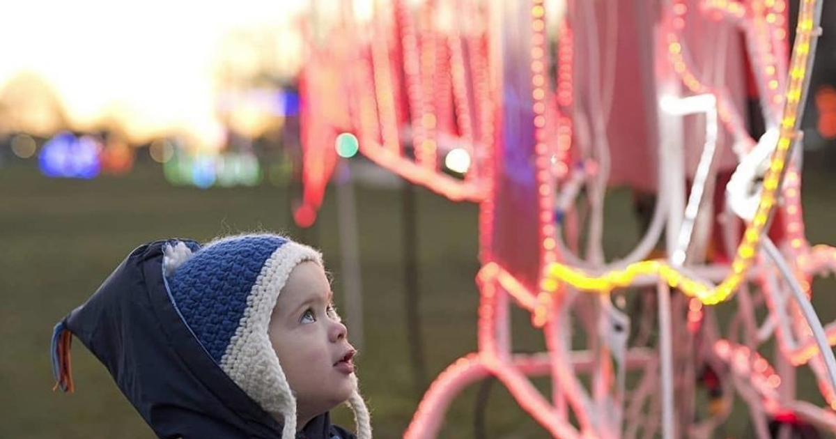 Take a look at the most dazzling light shows around Toronto - Toronto Life