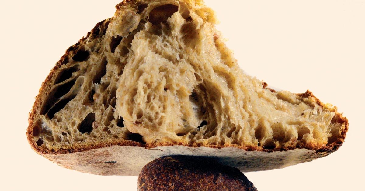 Toronto's best bread right now - Toronto Life