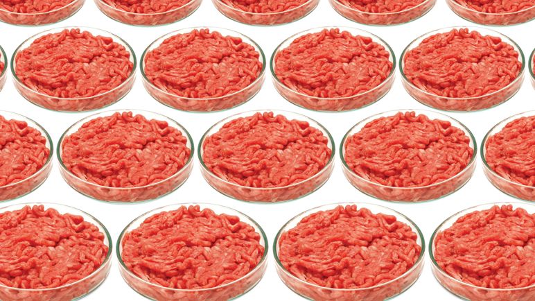 The frozen foods aisle is full of credible mock meats - Toronto Life