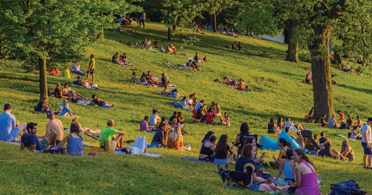 How to make the most of the weirdest summer ever - Toronto Life