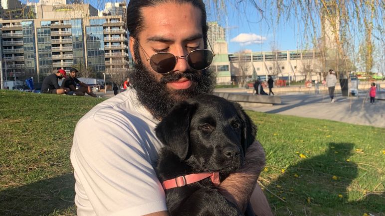 The 15 cutest Toronto cats on Instagram - Toronto Life