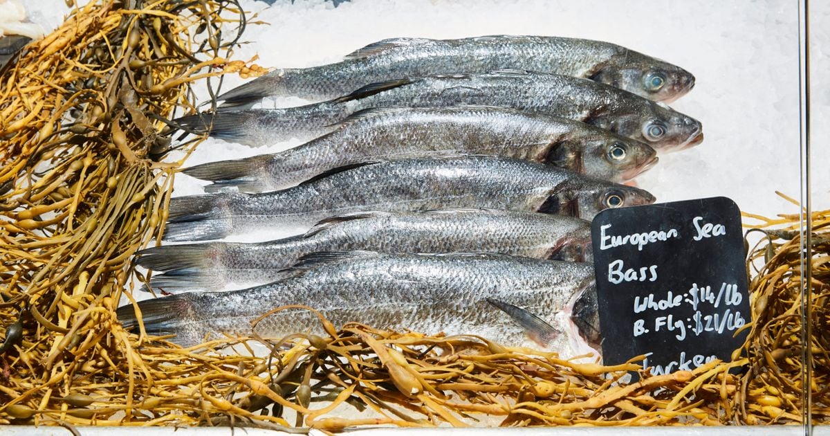 Toronto's best fishmongers - Toronto Life