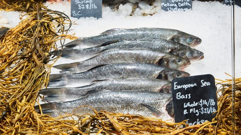 seafood - Toronto Life