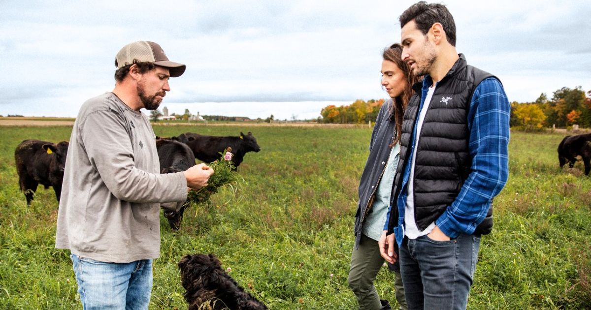 How to buy meat you can feel good about - Toronto Life