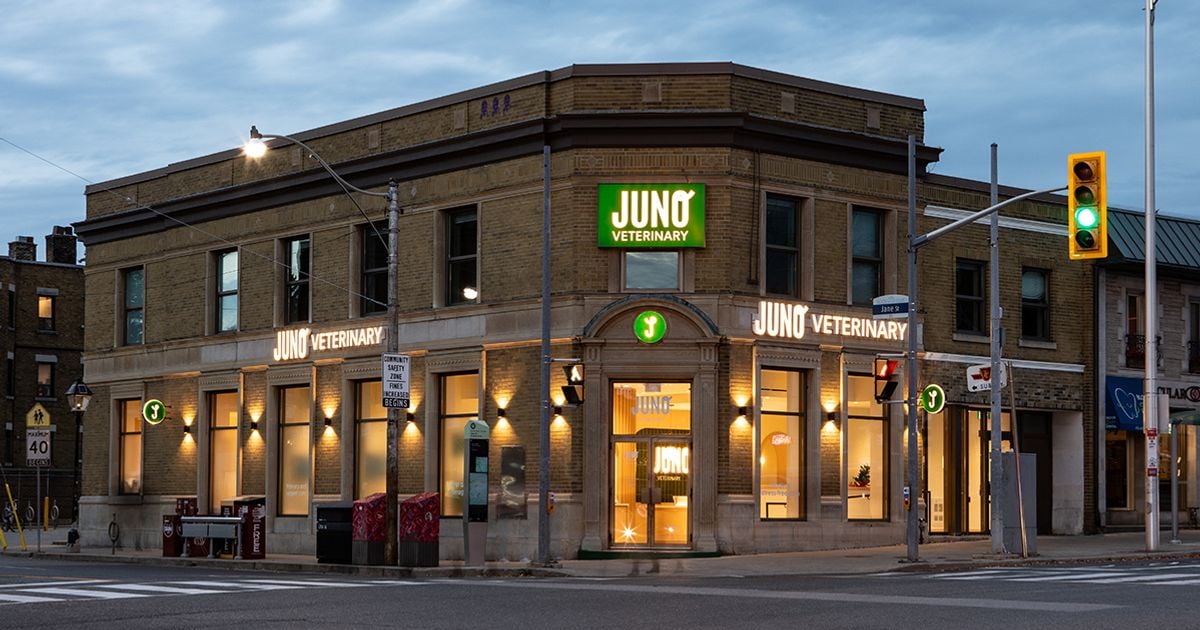 Inside Juno Veterinary: How Toronto’s newest vet clinic is reinventing ...