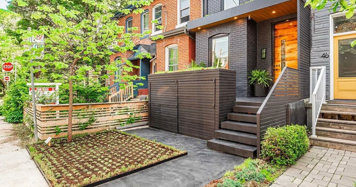Viral sensation Rodney the Tree’s duplex by Bellwoods hits the market ...