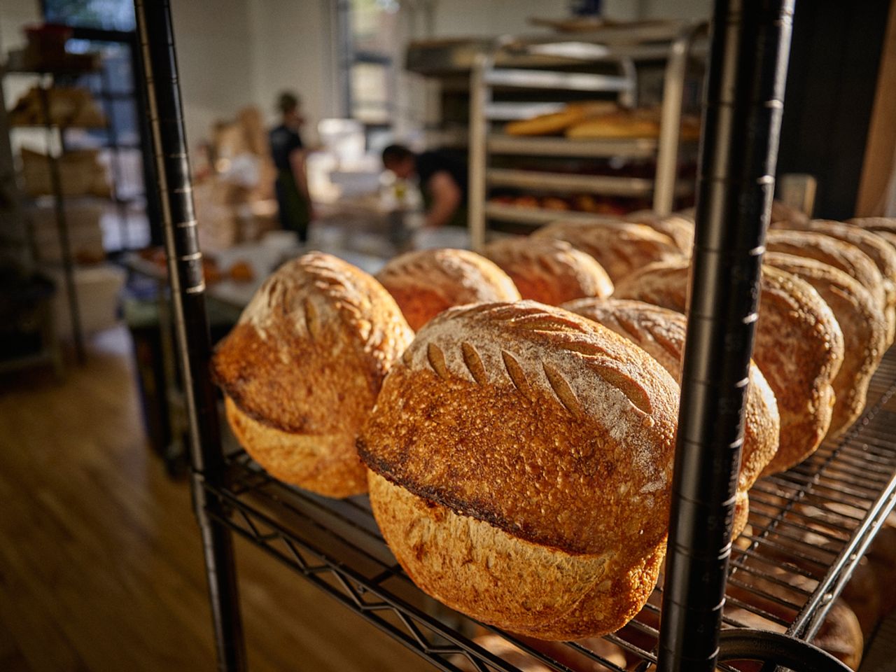 This hyper-local bakery in Cambridge uses almost nothing but Canadian ...