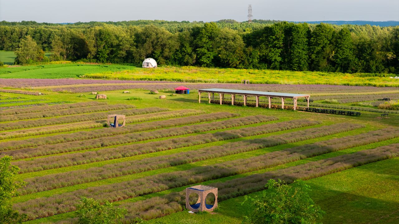$4.5 million for a Mono estate with a lavender farm, horses and a ...