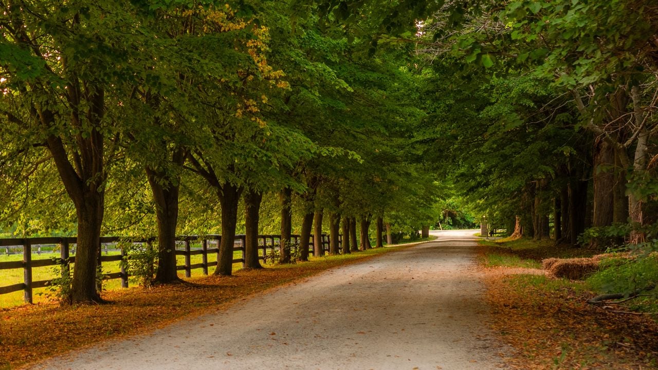 $4.5 million for a Mono estate with a lavender farm, horses and a ...