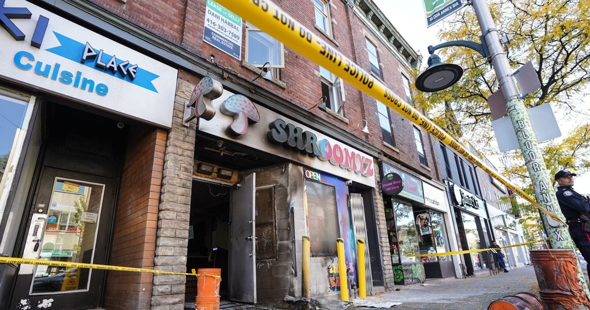 Another Toronto mushroom shop caught fire last night - Toronto Life
