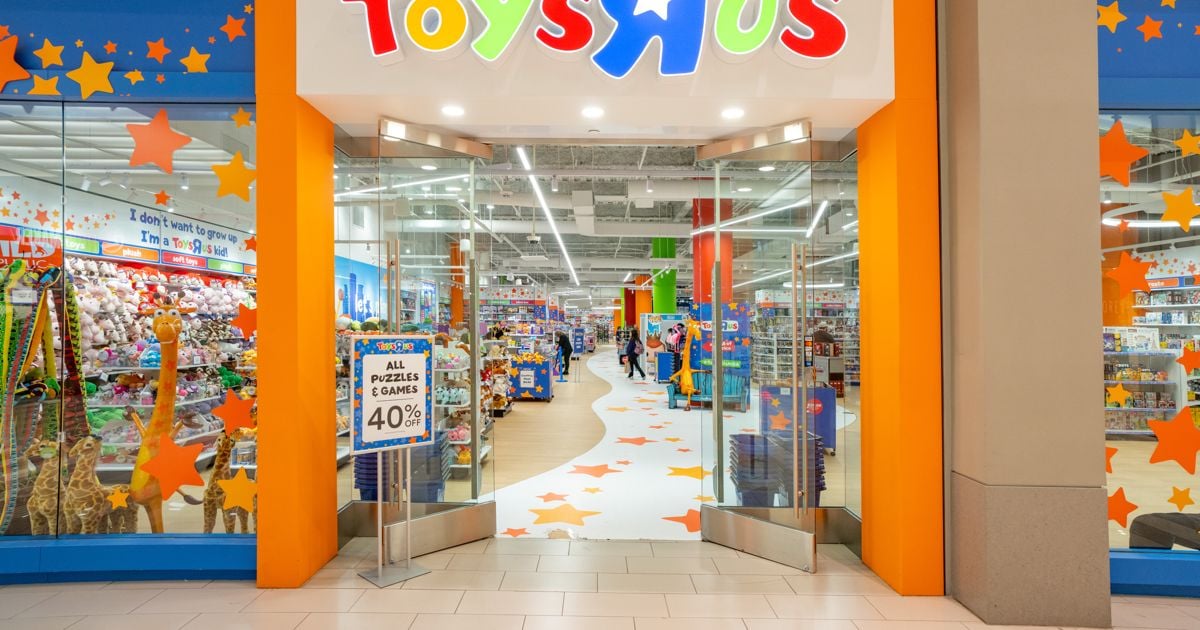 Seven commercial landlords claim Toys R Us Canada owes them $31.3 ...