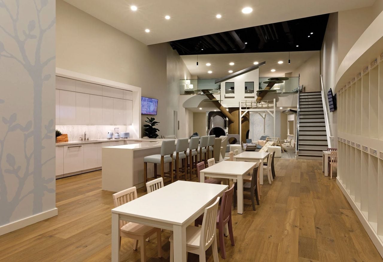 Inside the Blue Jays’ state-of-the-art training facilities - Toronto Life