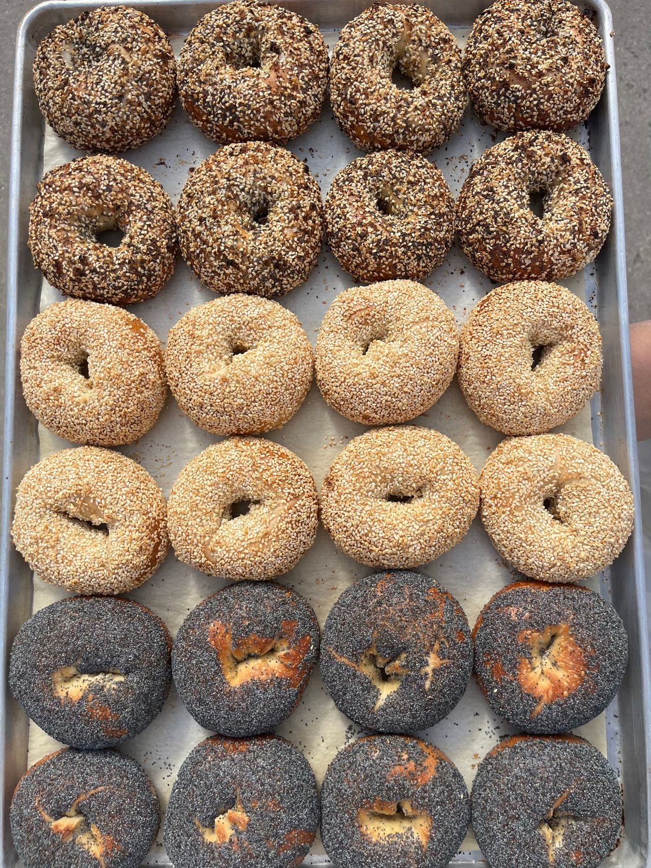 A bagel festival is taking over a Toronto brewery later this month ...