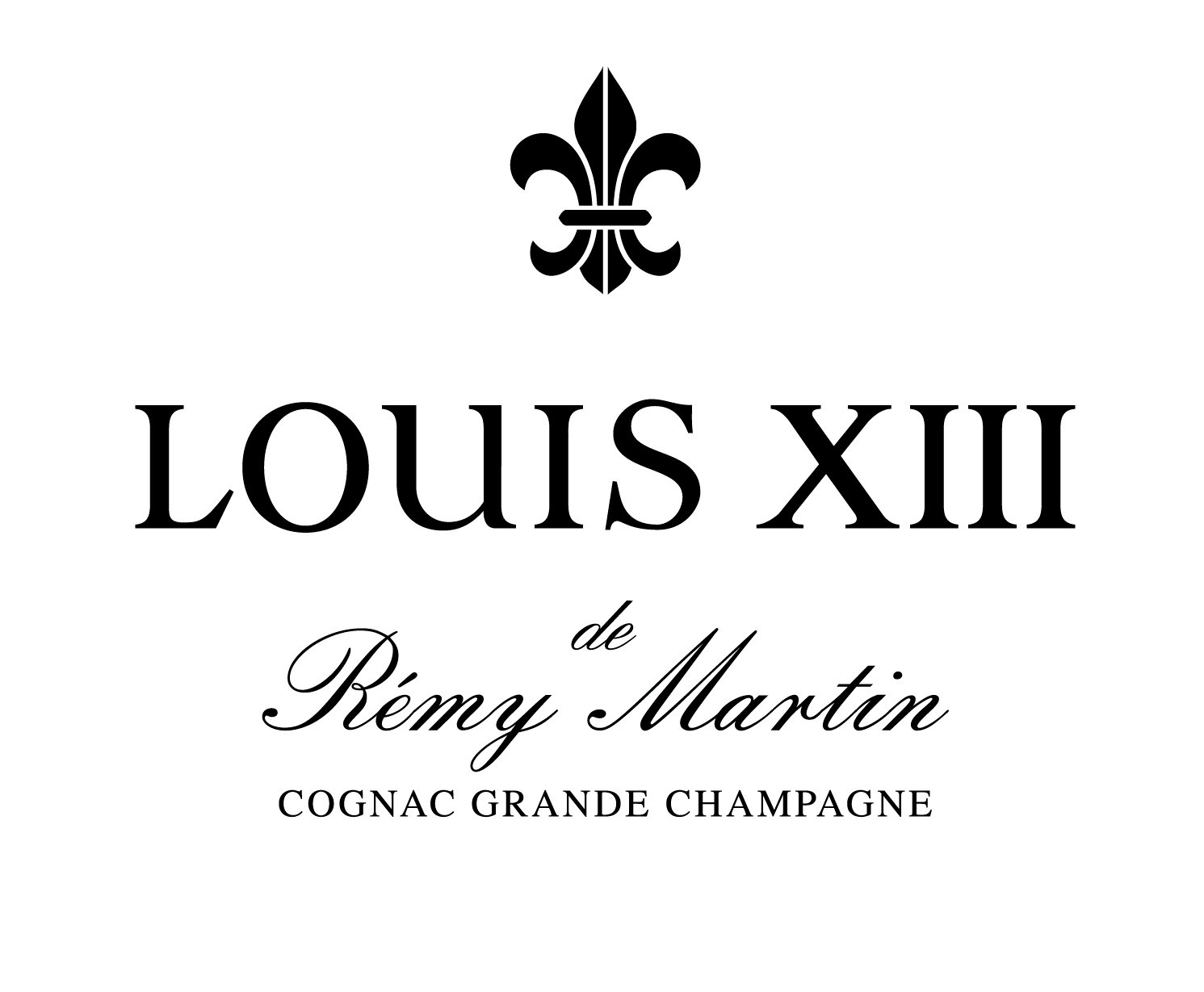 Xiii Logo Sur 13 Logos